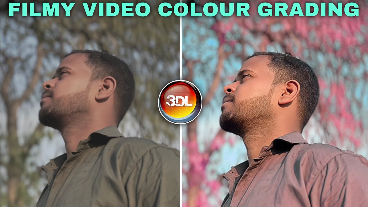 How To Colour Grade Your Videos In Mobile App EASILY Using LUTS - Gr ...