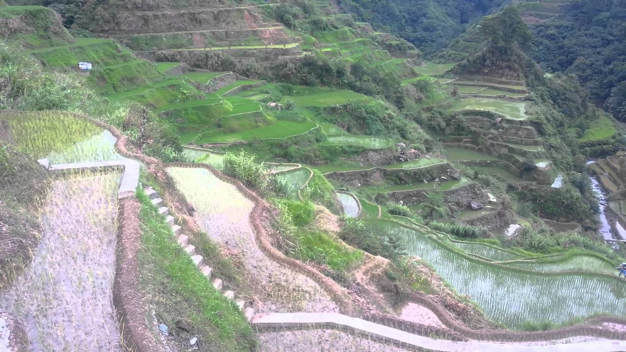 Irrigation for the rice terraces - YouTube