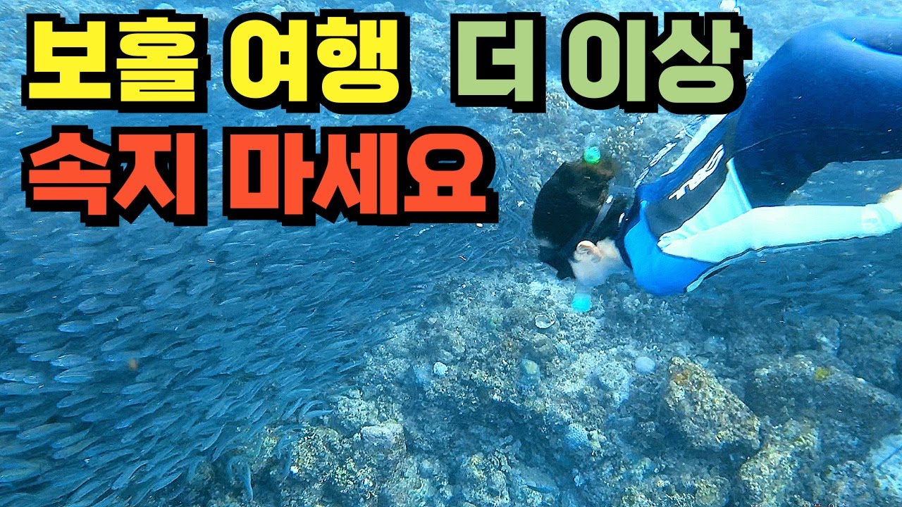 보홀 여행 숙소 리조트 나팔링 정어리떼 투어 돌조비치 맛집 필리핀 시키호르 가족여행part 11 가족 스노클링 프리다이빙