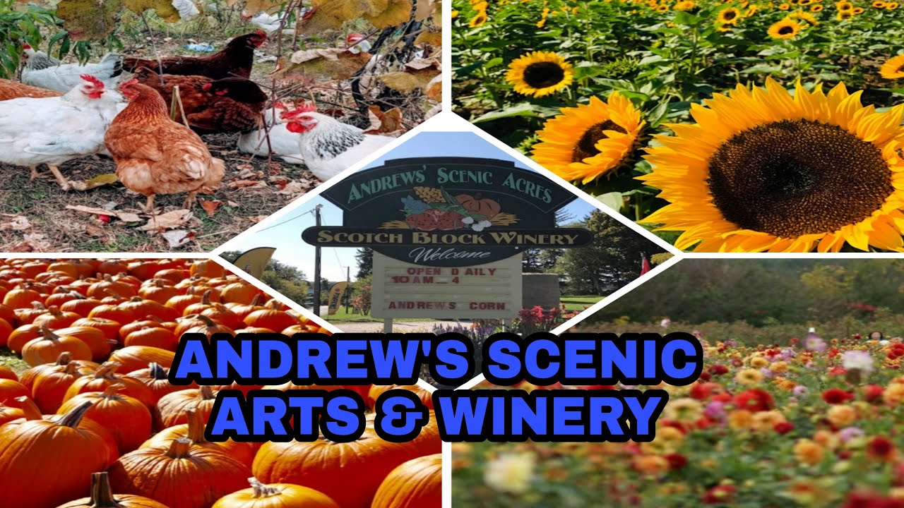 Andrew's Farm Market/Scenic Acres Farm/Winery - YouTube