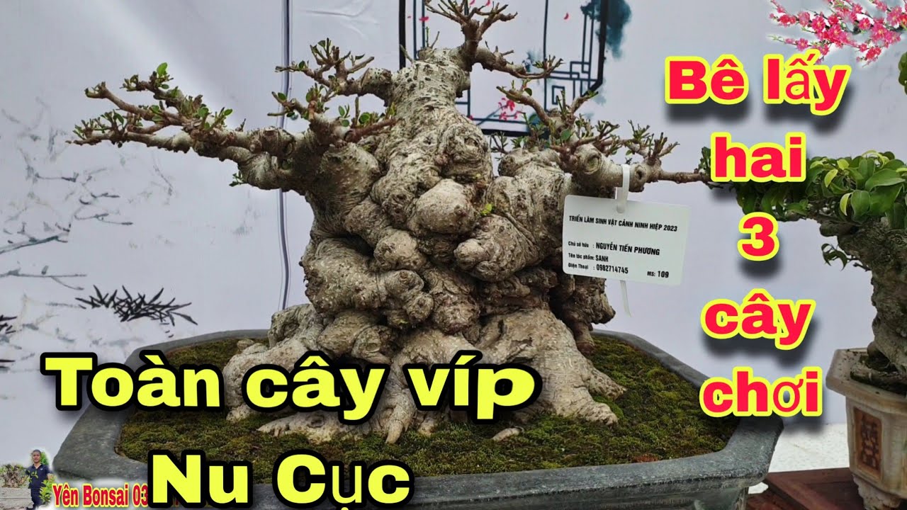 Những tác phẩm sanh.si bê một hai người bê đẳng cấp Nu cục chất lượng ...