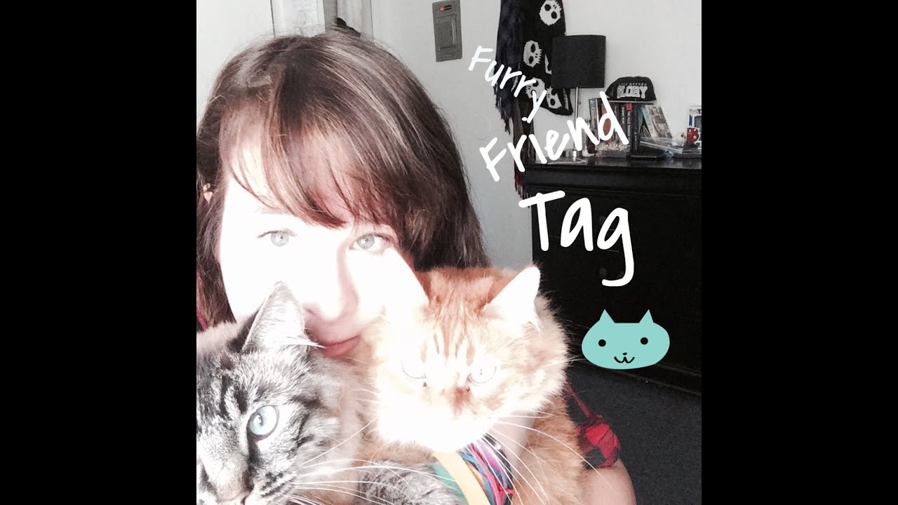Furry Friend Tag! || Cece - YouTube