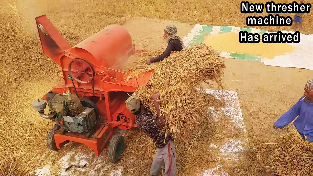 new thresher machine has arrived the 2025 paddy thresher revolution you ...