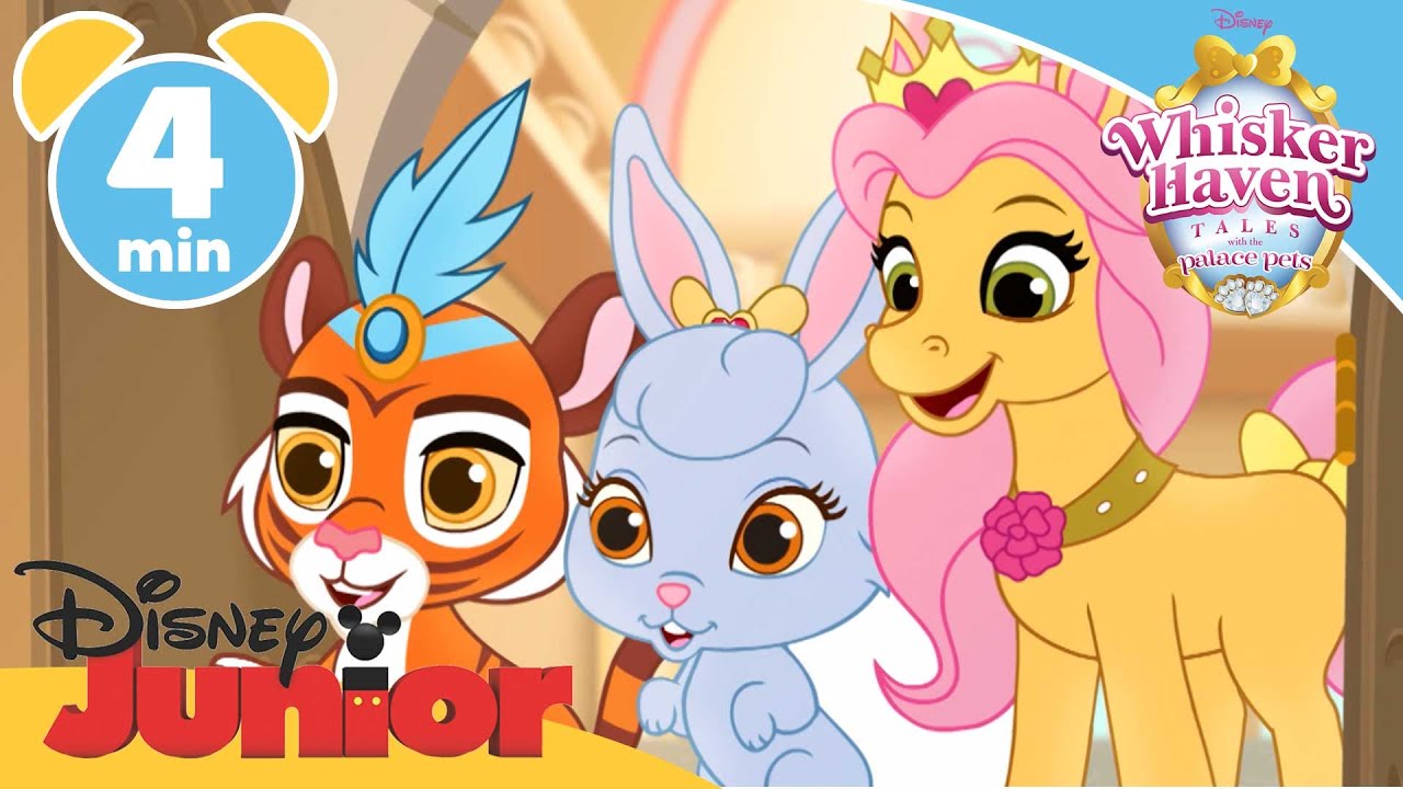 Whisker Haven Tales | Where's Taj? | @disneykids - YouTube