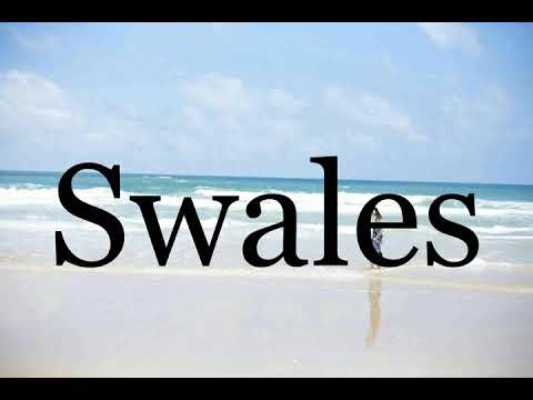 How To Pronounce Swales🌈🌈🌈🌈🌈🌈Pronunciation Of Swales - YouTube