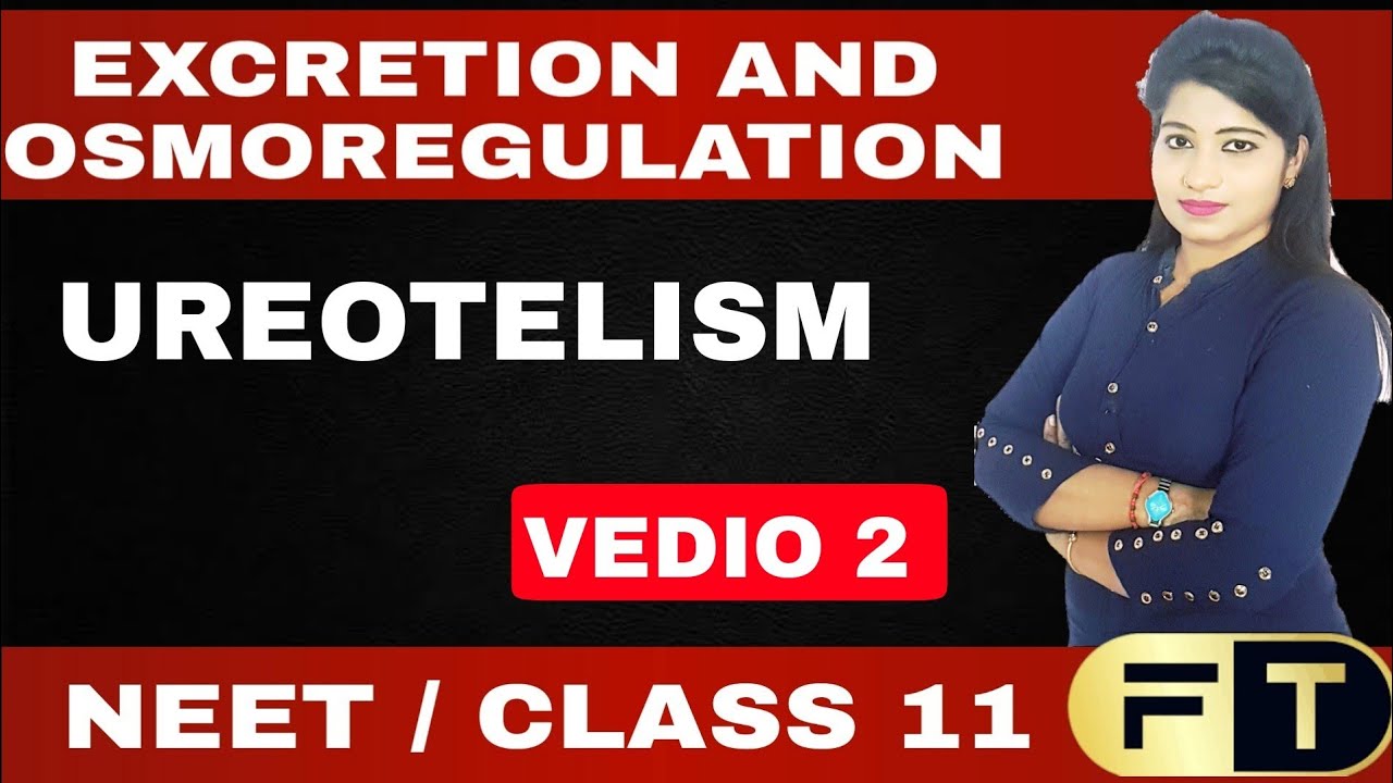 Nitrogenous Waste Urea( ureotelism) | Excretion and Osmoregulation ...