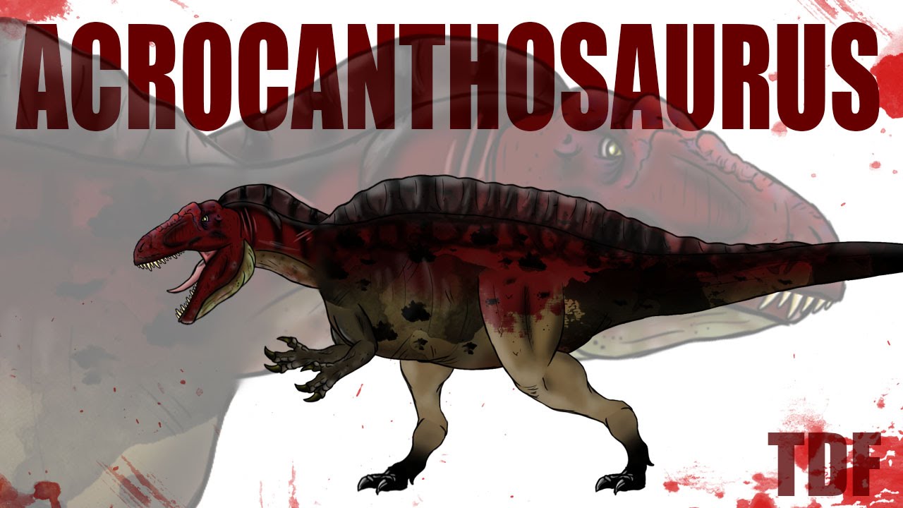 Acrocanthosaurus Monster Carnivore (TDF Facts) - YouTube