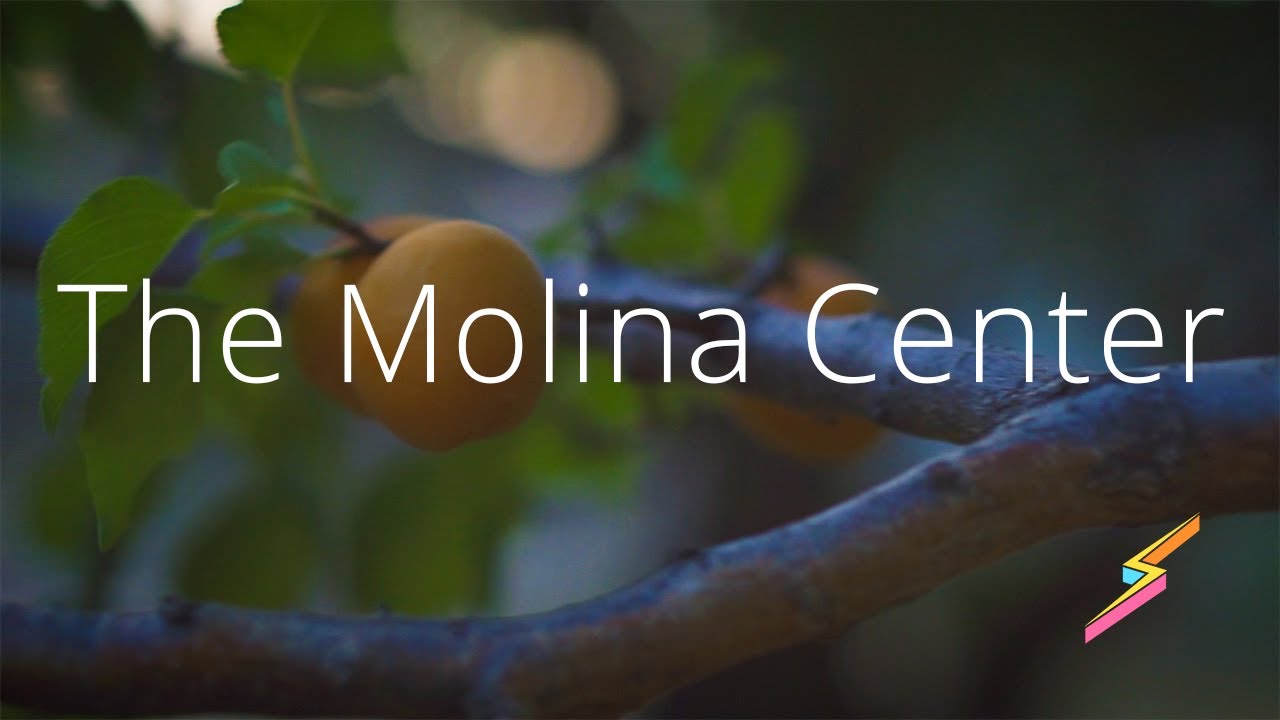 The Molina Center // Colorado Non-Profit Video Production // Thunderful ...