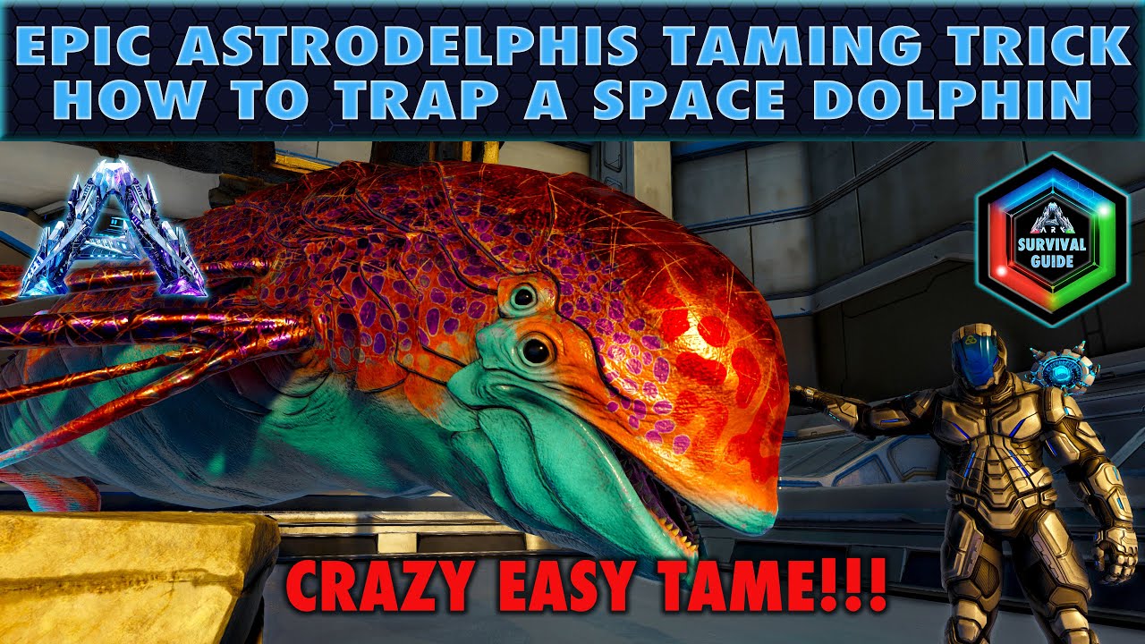 The Crazy Easy Astrodelphis Trap: How to Tame an Astrodelphis the ...