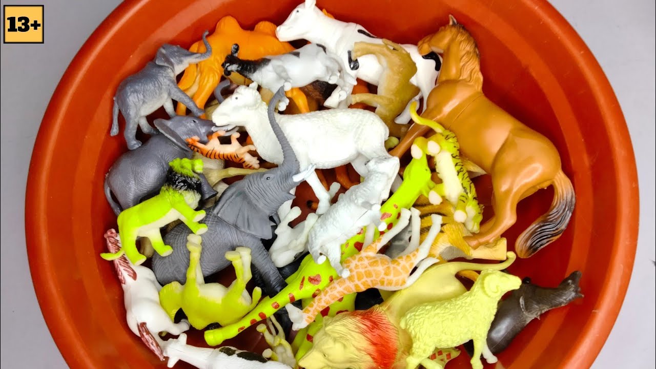 Plastic animals | animals collection dinosaur, Cat, Dog, sheep ...