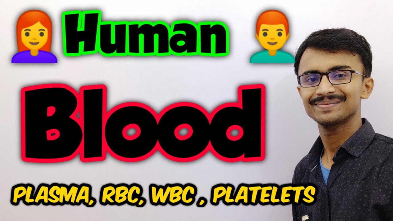 Blood and it's Components | Human Blood Class 9 Class 10 | Life Process ...