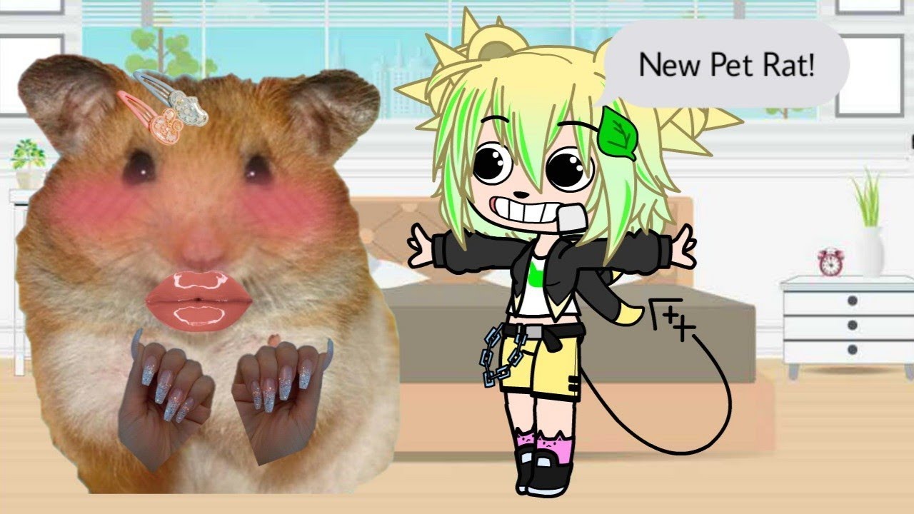 New Pet Rat!| gacha meme |Original - YouTube