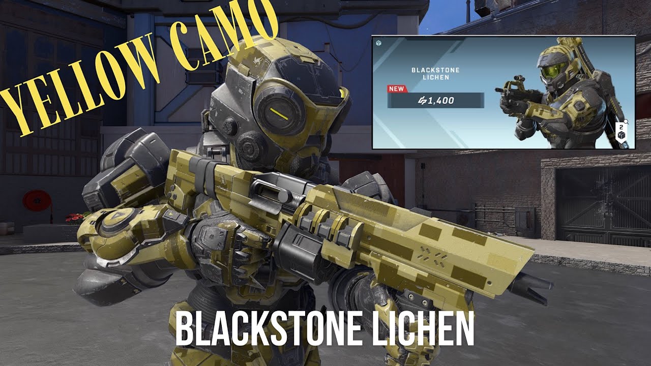 Armour and weapon camos! - Blackstone Lichen - Halo Infinite Store ...