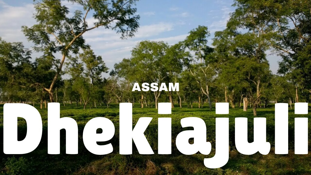 DHEKIAJULI TOWN,ASSAM - YouTube
