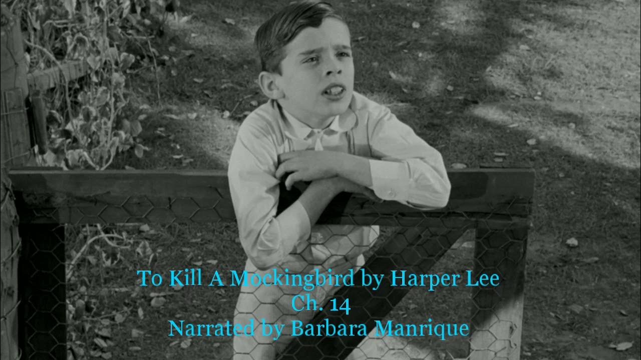 To Kill A Mockingbird Chapter 14 - YouTube