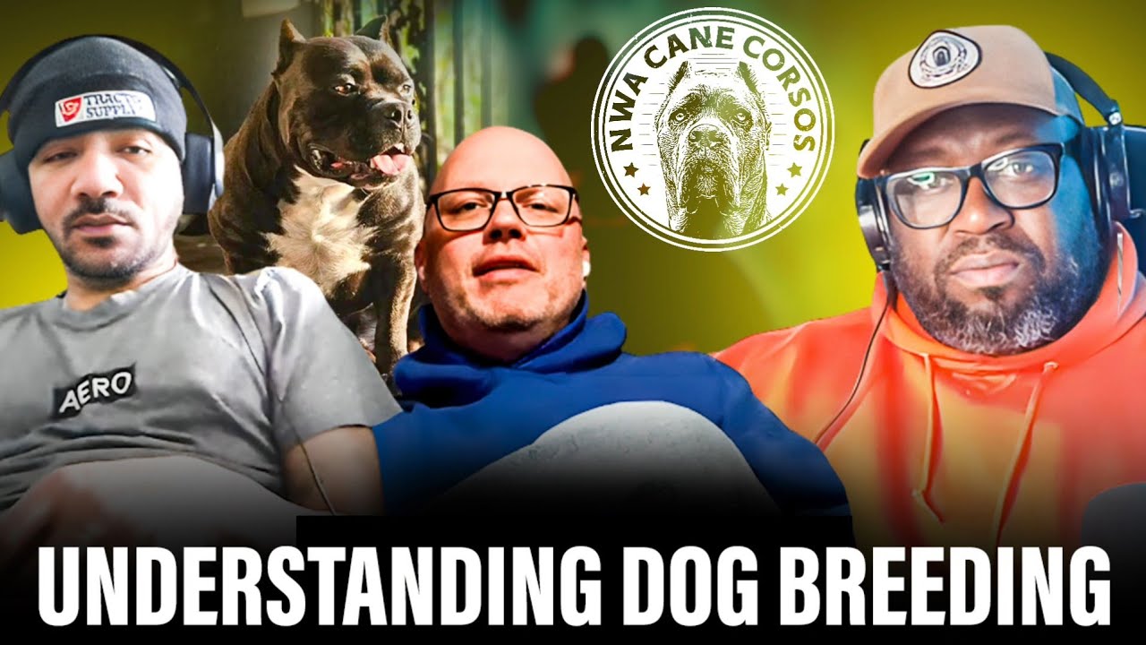 Understanding Dog Breeding: The Genetics Behind Your Favorite Breeds ...