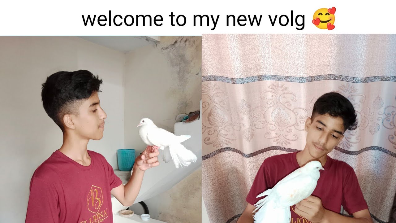 welcome to my new volg 🥰🕊️ - YouTube