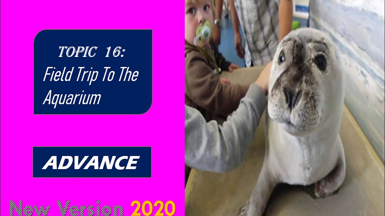 Advance Levels- Topic 16: Field Trip To The Aquarium - YouTube