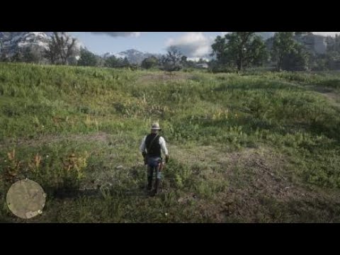 Where to find lumber for the father in Red Dead Redemption 2 - YouTube