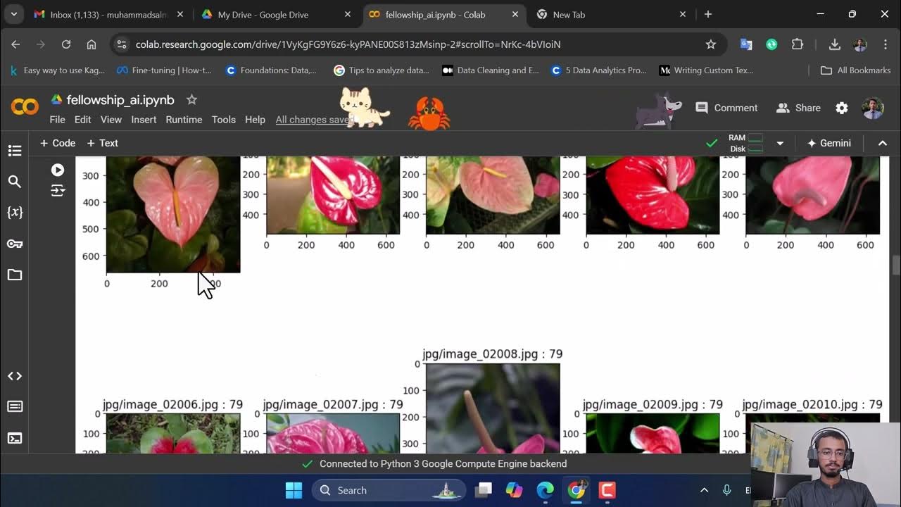 oxford 102 flowers classification, deep learning image classification tutorial - YouTube