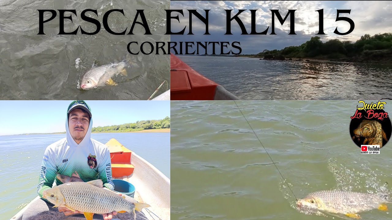 Pesca de bogas en klm 15 - YouTube