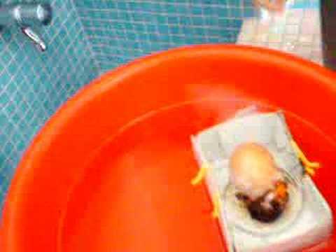 Πειραμα Φυσικης - YouTube