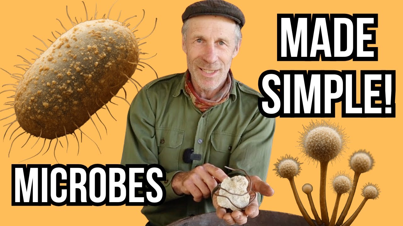 Soil, Microbes & Carbon: Regenerative Farming Secrets | Tim Thompson