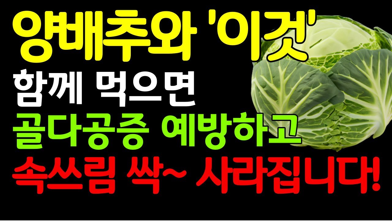 양배추와 함께 먹으면 보약되는 음식 3가지와 특급 레시피 뼈건강 지키고 위염 위궤양 속쓰림까지 싹 낫습니다 값비싼 영양제