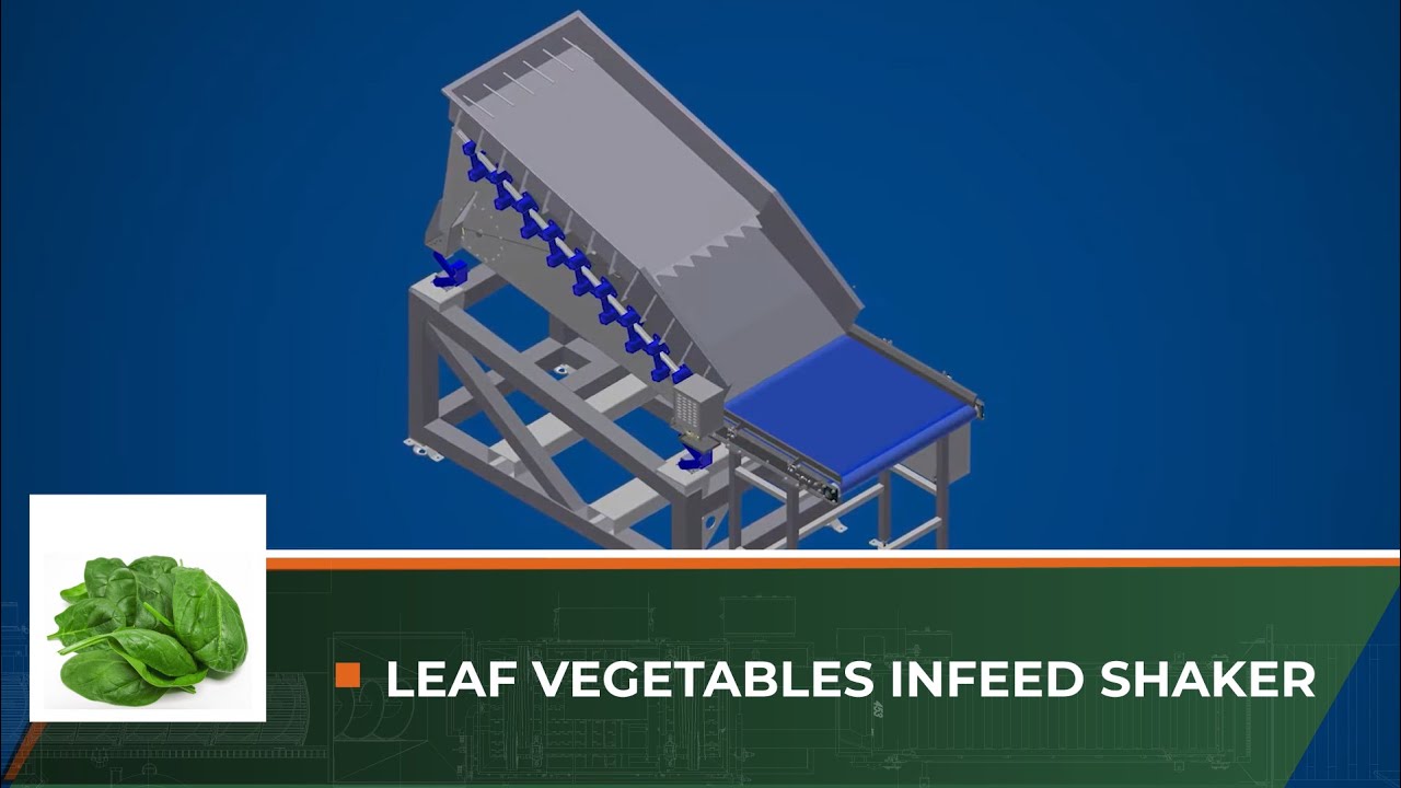Podajnik wibracyjny do szpinaku i przyspieszacz produktu / Leaf ...