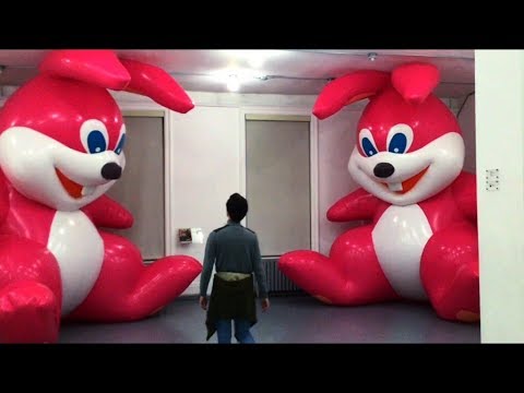 Colin the Dog - YouTube