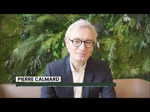 ADforecast #4 - Pierre Calmard, PDG de Dentsu Aegis Network France ...