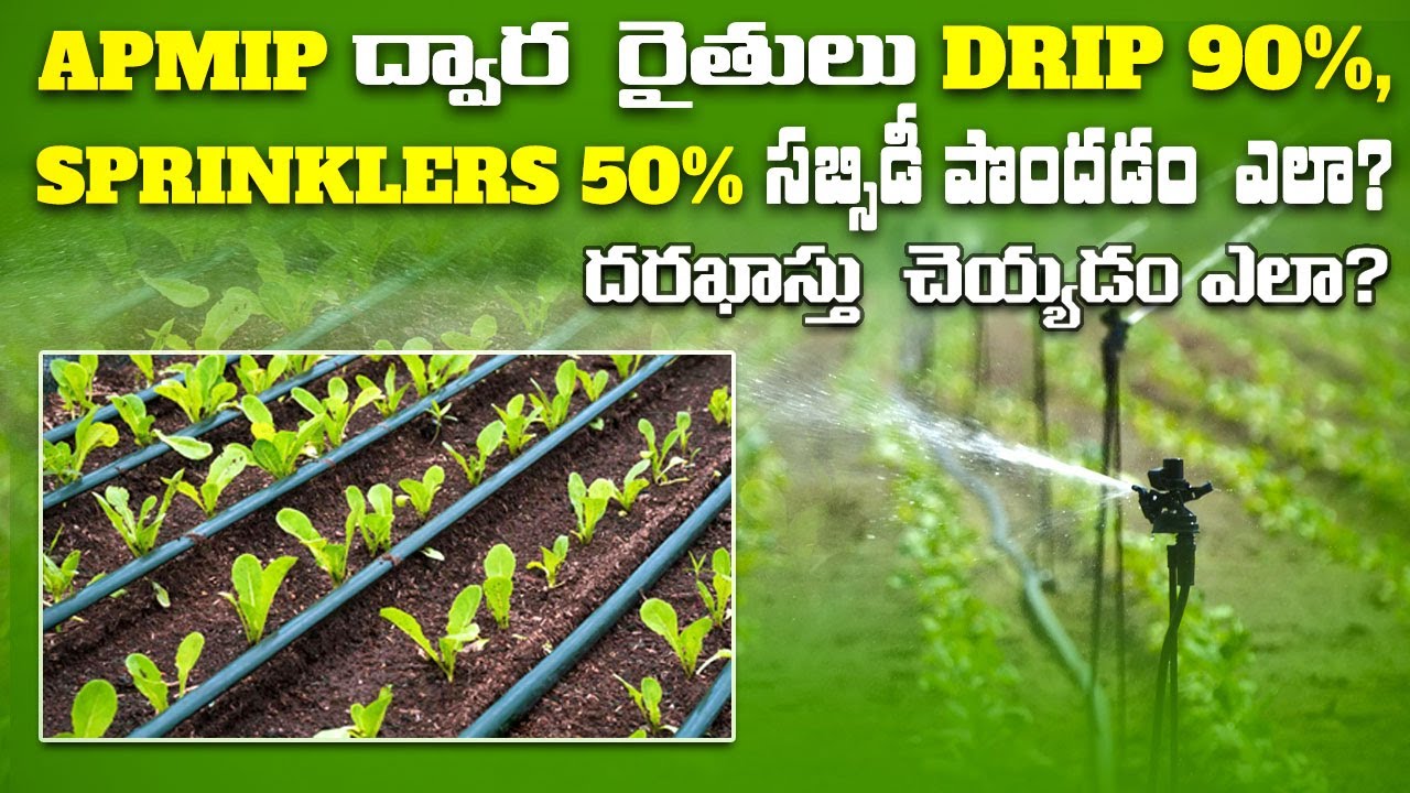 APMIP subsidies and schemes for farmers #drip #sprinkler # ...