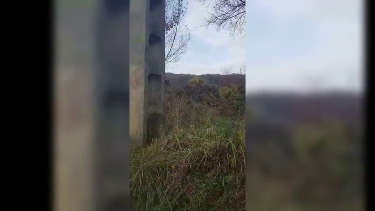Urs la plimbare in Valea Lunga | novatv.ro - YouTube