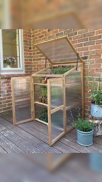 Маленькая теплица для растений 🌱🏠 - YouTube