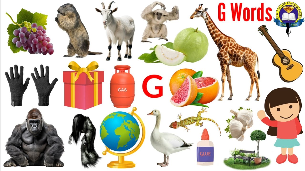 G Words | Vocabulary Words With G | English Vocabular | Giraffe ...