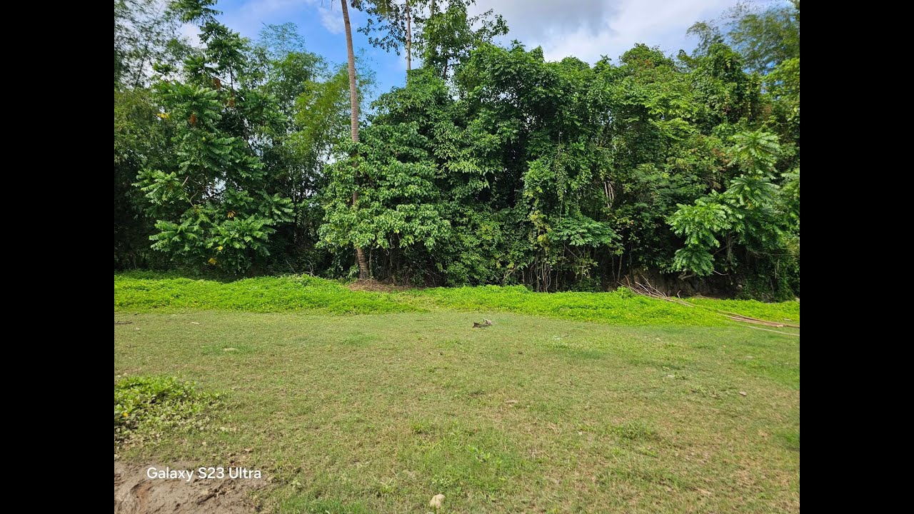 17,860 sqm along the river at Getafe Bohol Philippines 150/sqm - YouTube