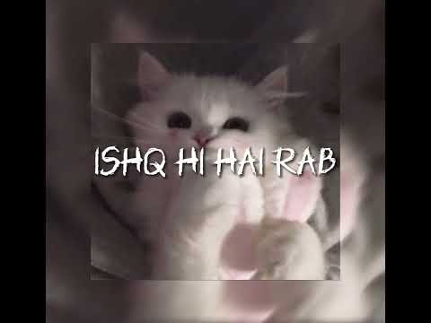 Ishq hi hai rab (bollywood song) - speed up | jxvnav