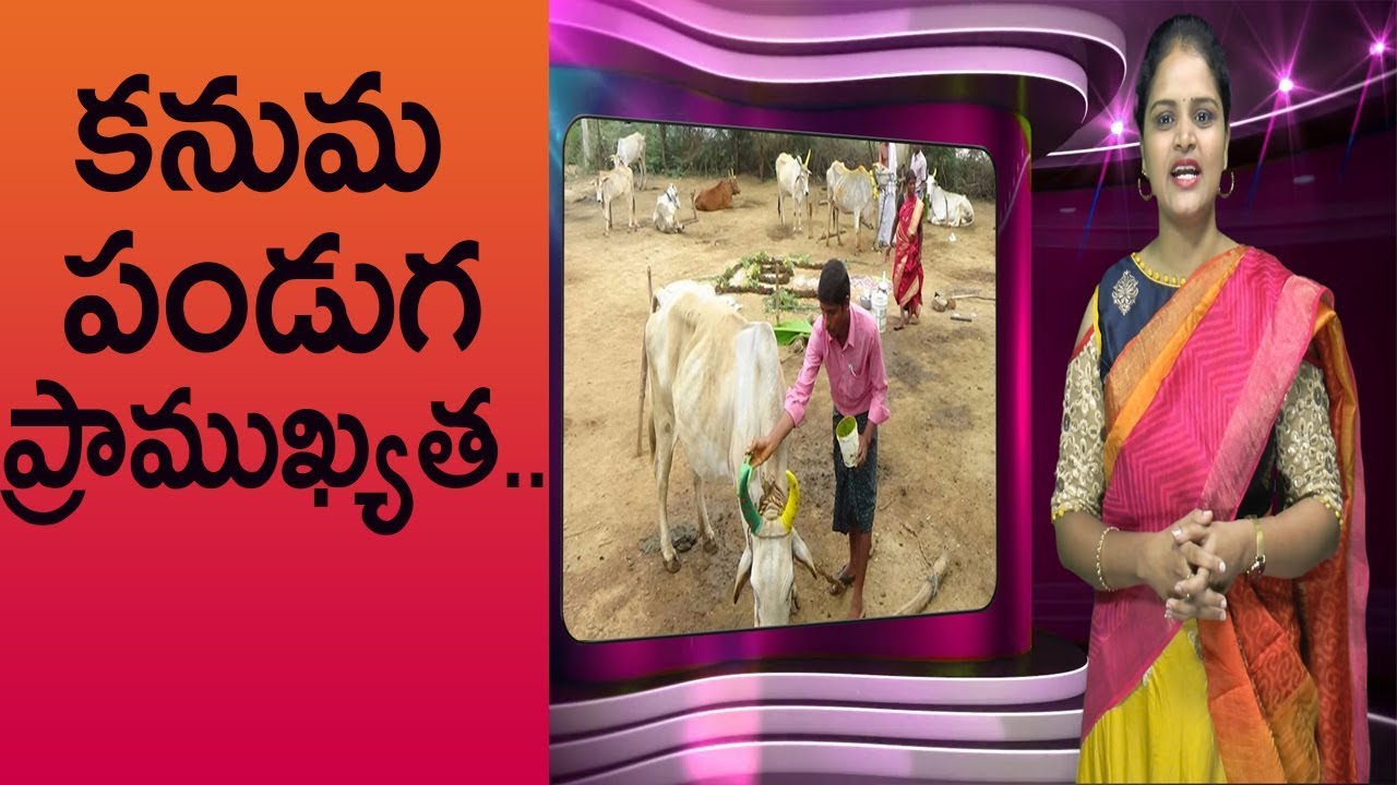 Importance and Significance of Kanuma Festival | Kanuma Festival ...