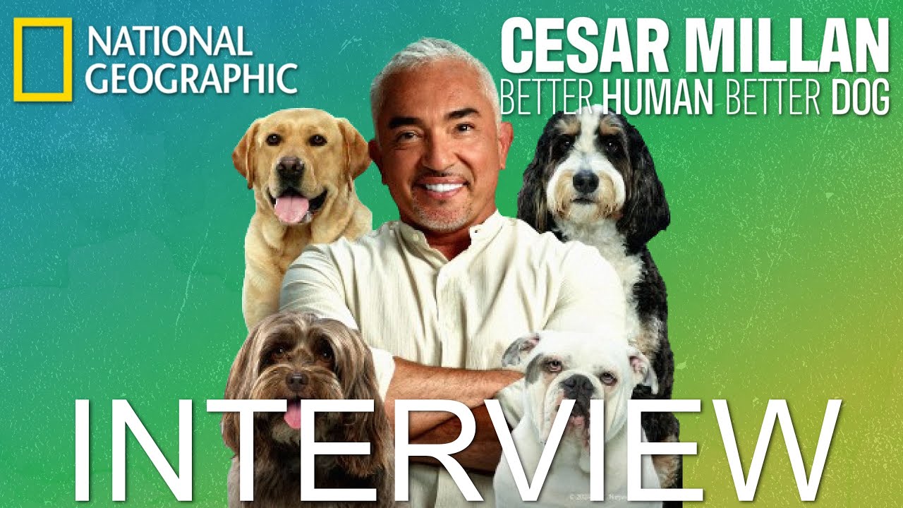 Interview: Cesar Millan Talks Season 5 of Nat Geo Series "Better Human ...