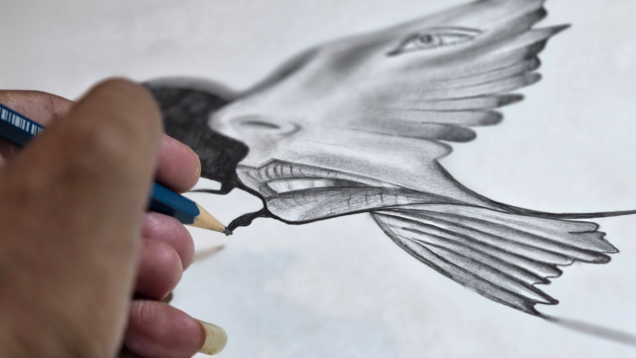 How To Draw Sketch and Shade Bird with Face |How To Draw Bird With Face ...