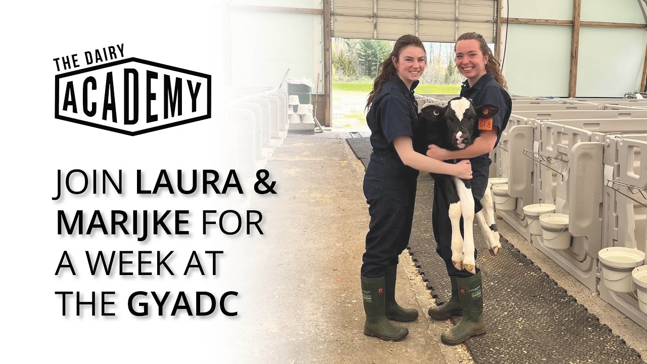 Welcome back! Join Laura & Marijke for a week at the research center ...