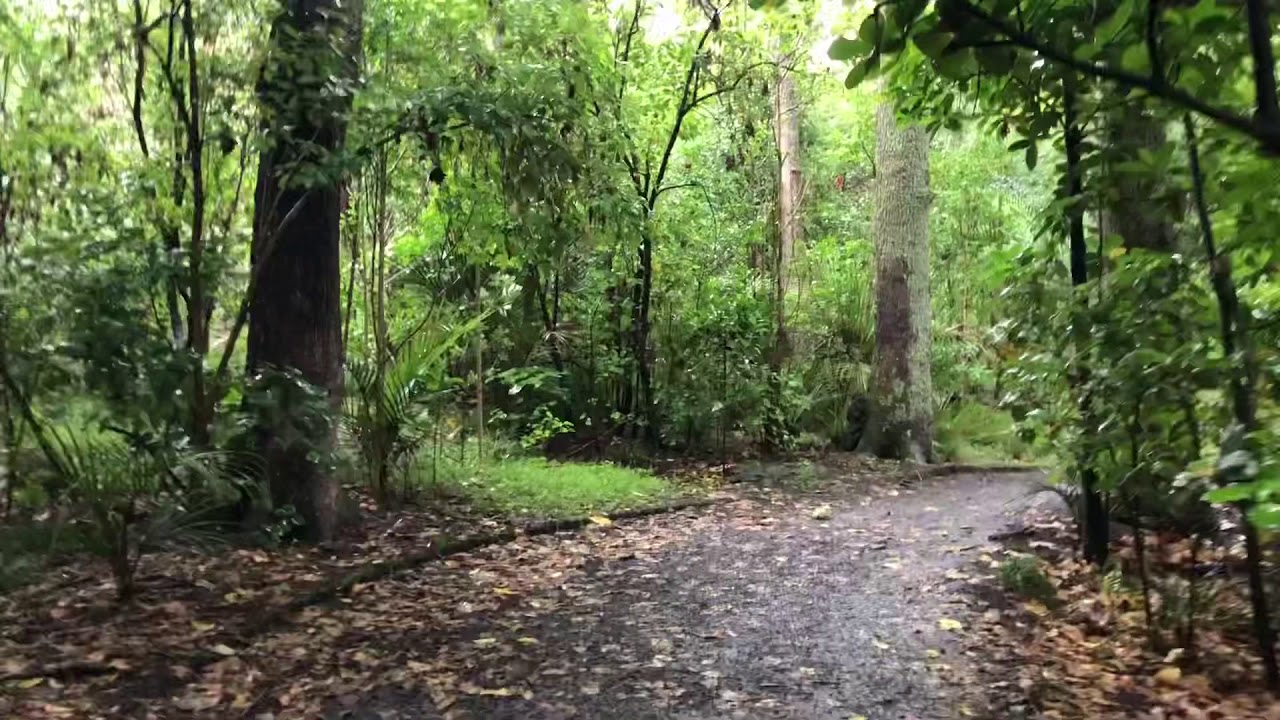 Auckland Domain - YouTube