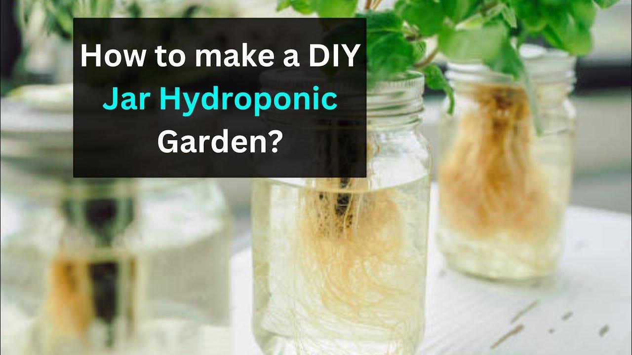 Jar Garden | mason jar indoor herb garden | plants in a jar - YouTube