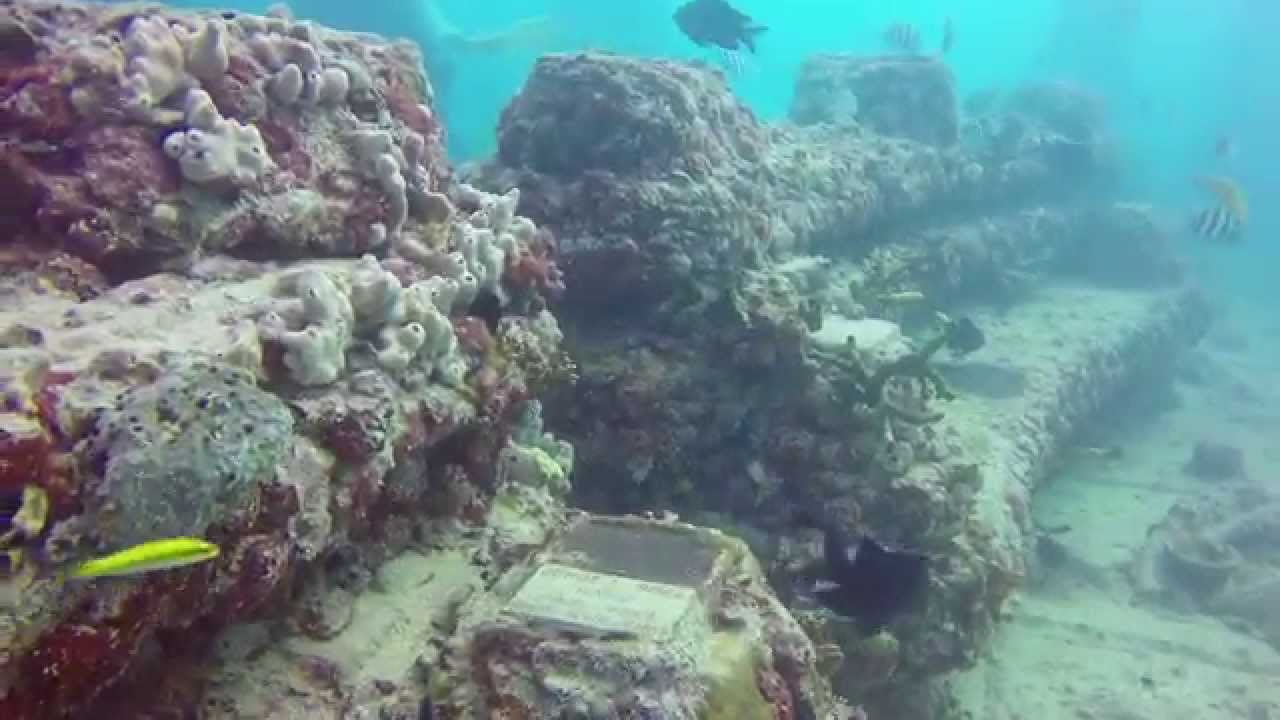 Dive at Neptune memorial reef - YouTube