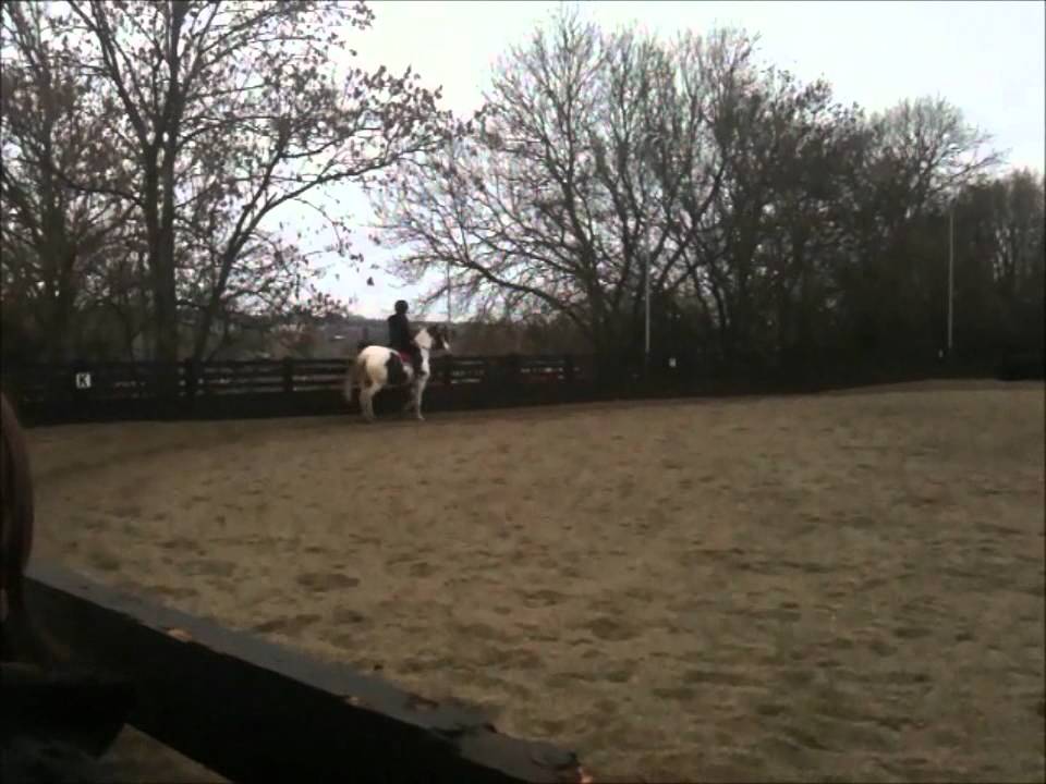 Horse Riding. Tom at Back Lane Stables - YouTube