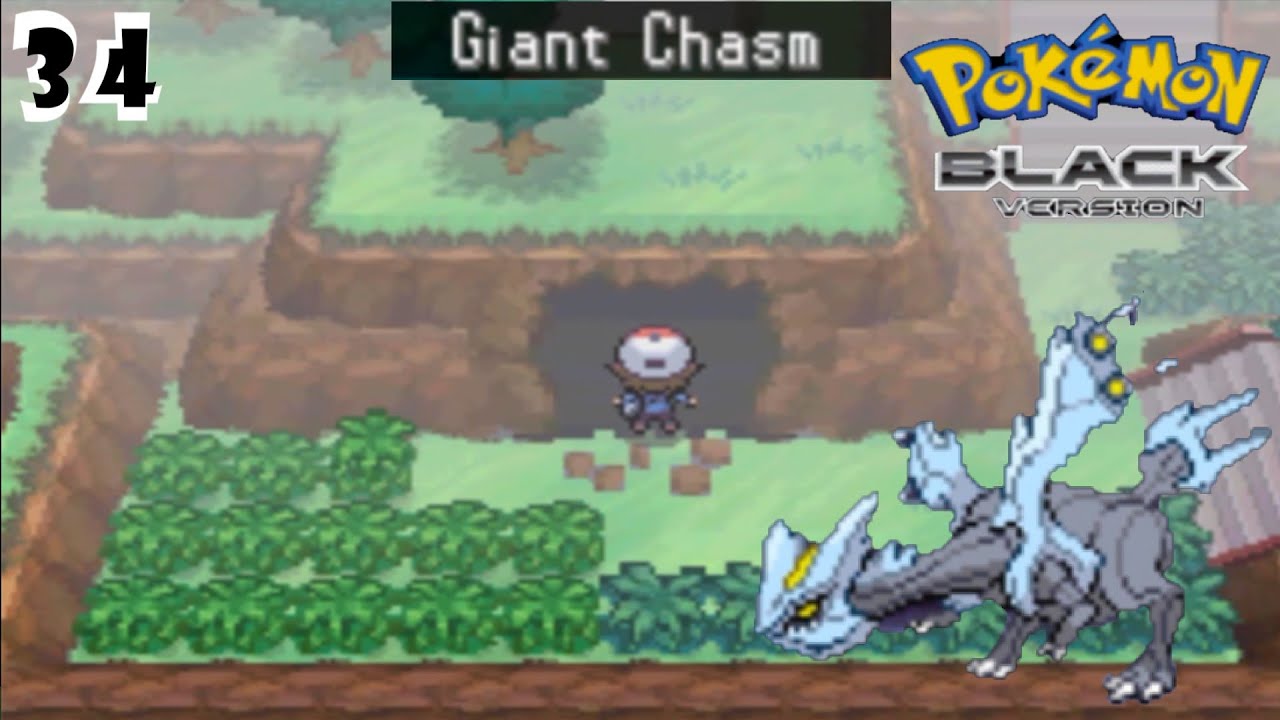 Go to the Giant Chasm, Kyurem Location #34 | Pokémon Black Walkthrough ...