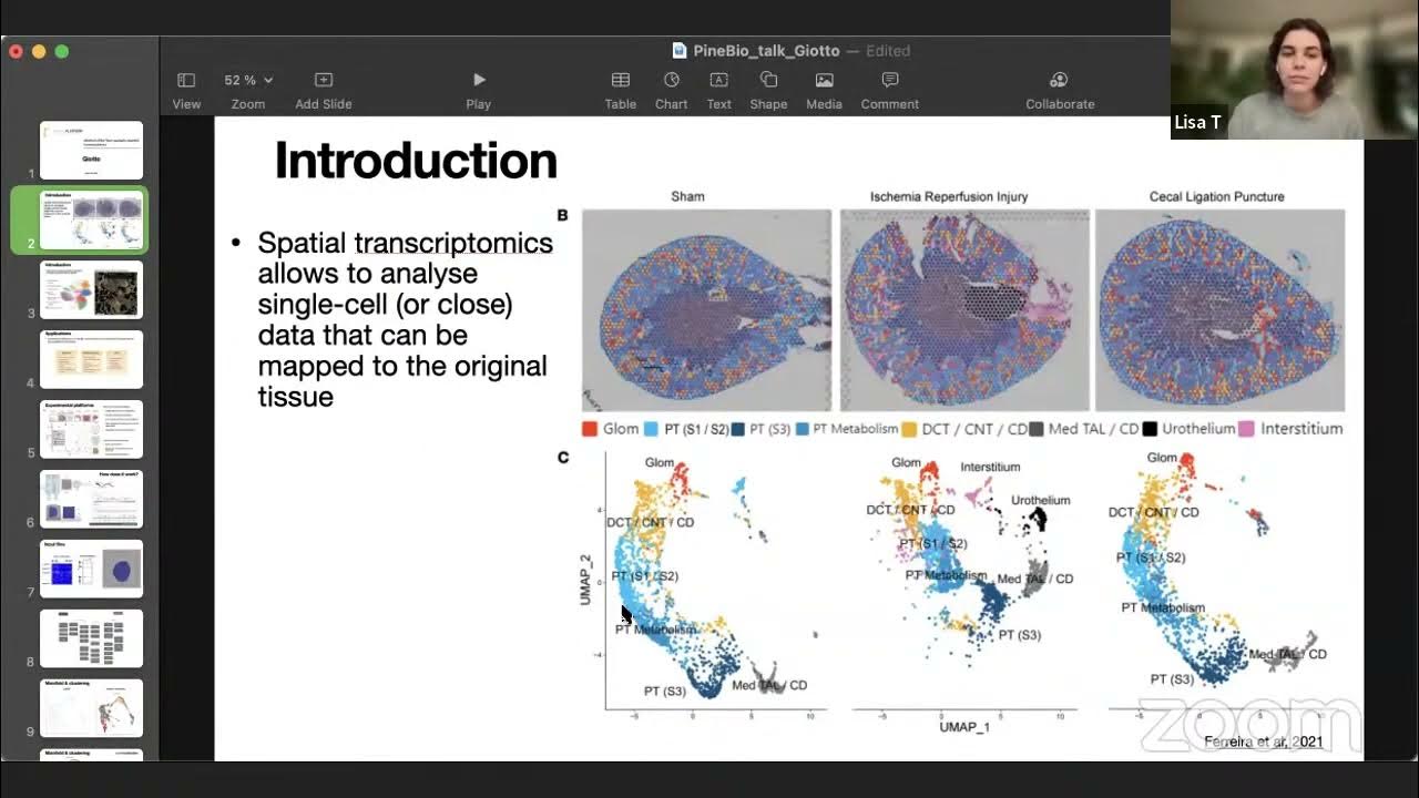 Method of the year by Nature: Spatially Resolved Transcriptomics - By ...