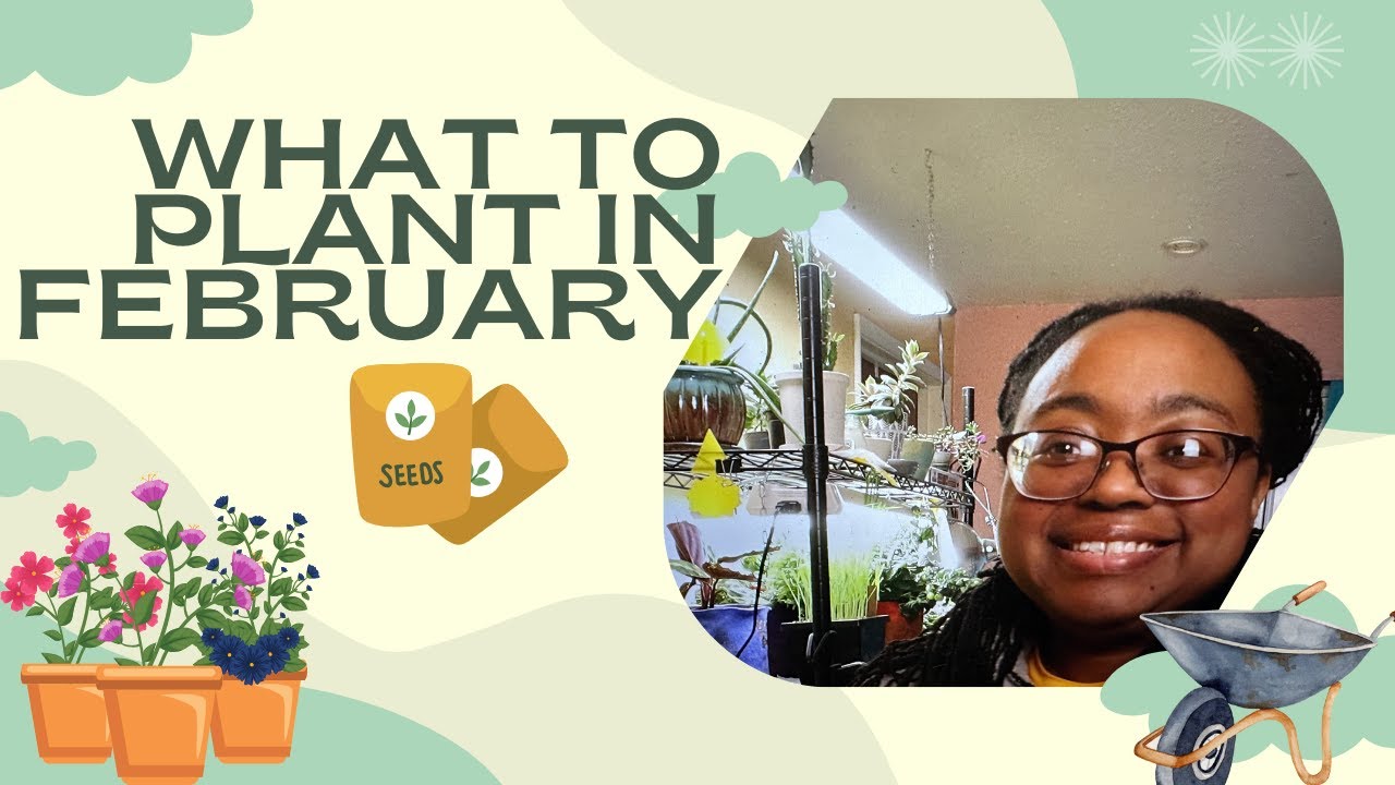 February is the Perfect Month to Plant These Seeds - YouTube