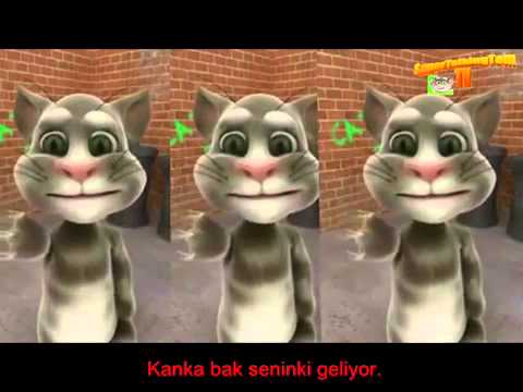 Düğün Dernek   Entarisi Dım Dım Yar kedi versiyon