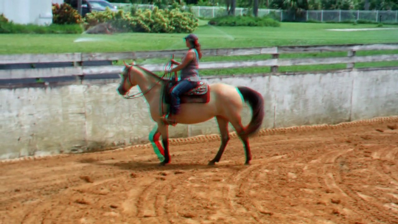 For the Horse Ranch 1st group lesson - YouTube